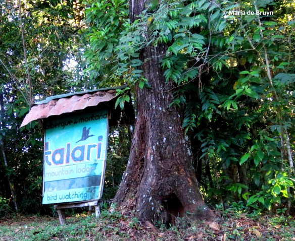 Costa Rican rambles 5A: the Talari Mountain Lodge | My beautiful world